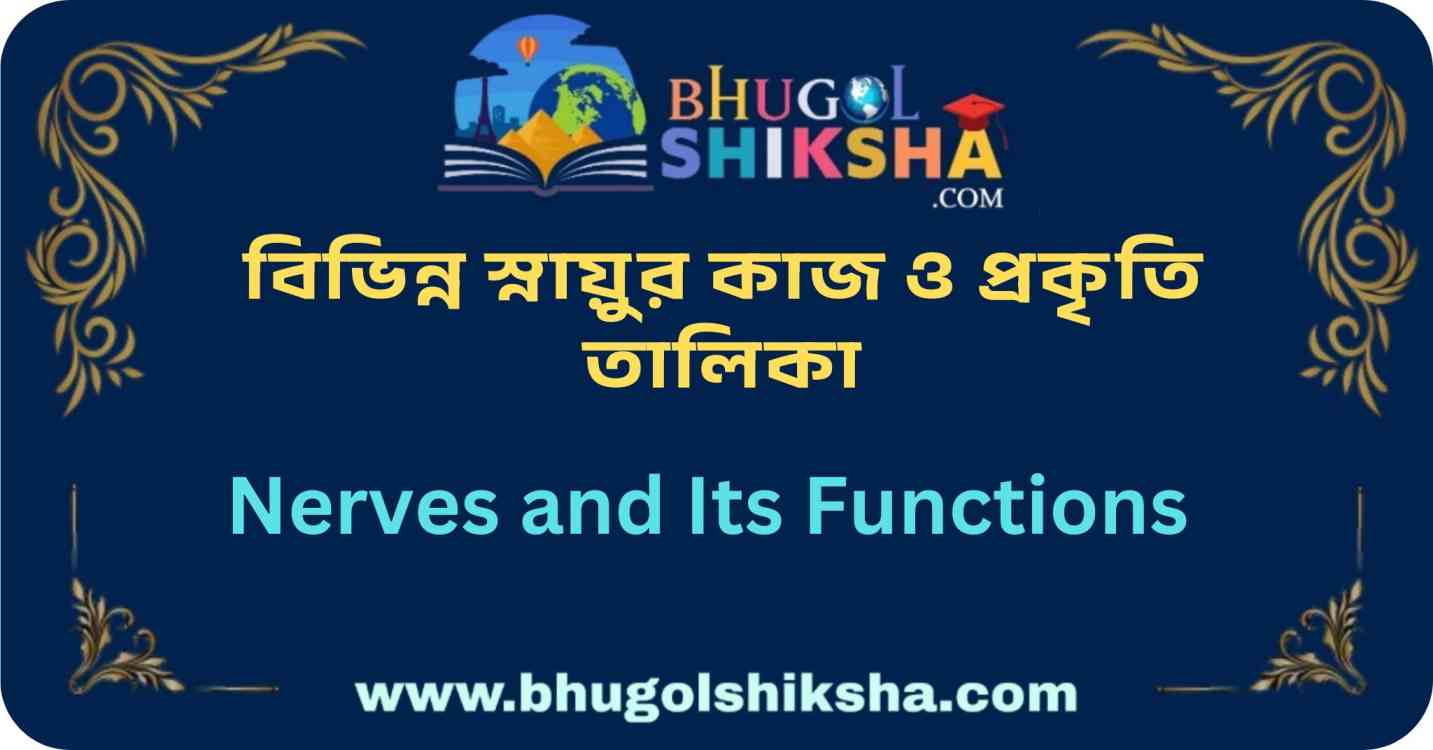 বিভিন্ন স্নায়ুর কাজ ও প্রকৃতি তালিকা | Nerves and Its Functions PDF in Bengali - Bhugol Shiksha